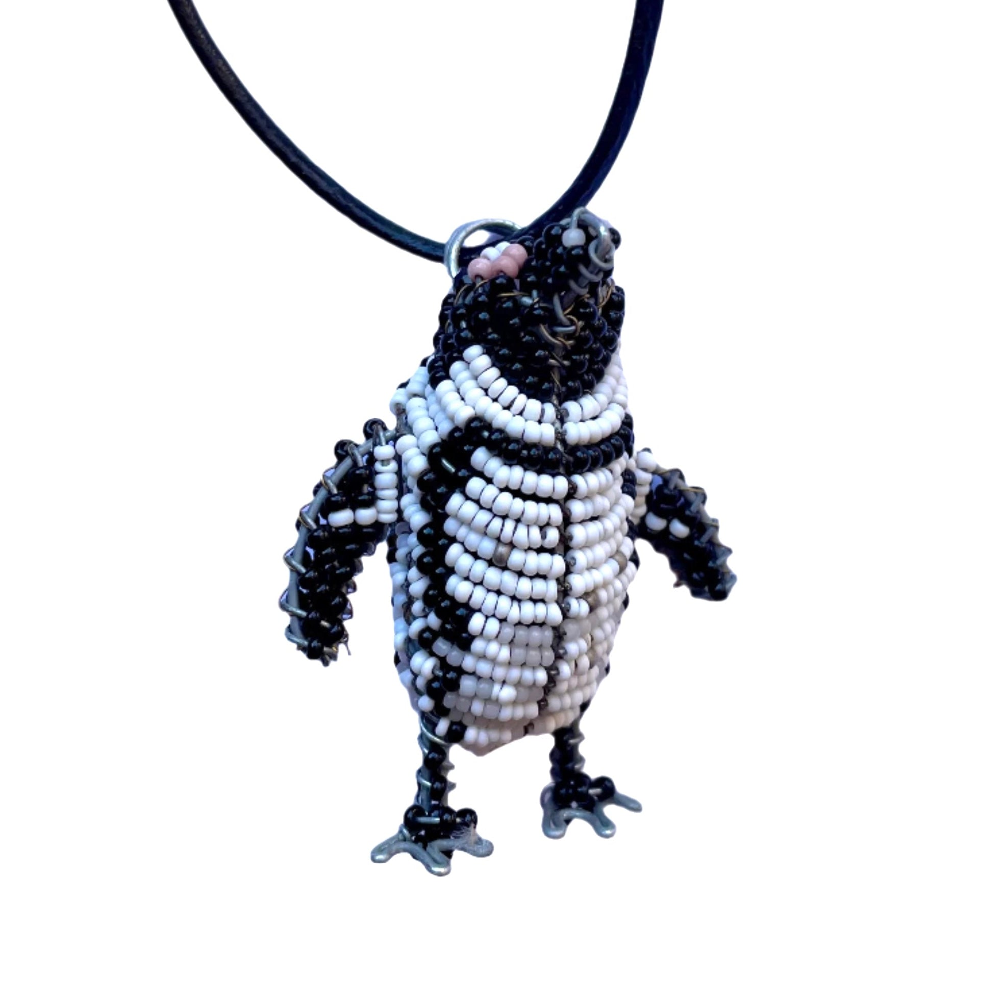 Miniature Penguin Pikanini – Kioni
